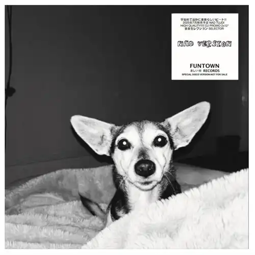 FUNTOWN EDITS (2LP)/NAD (DAN TYLER)/Idjut Boys Dan Tyler エディット名義 Dan ...