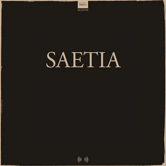 COLLECTED (2LP/COLOR VINYL)/SAETIA/セイシャ｜PUNK｜ディスクユニオン･オンラインショップ ...