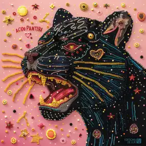 ACIDO PANTERA/ACIDO PANTERA｜CLUB/DANCE｜ディスクユニオン･オンラインショップ｜diskunion.net