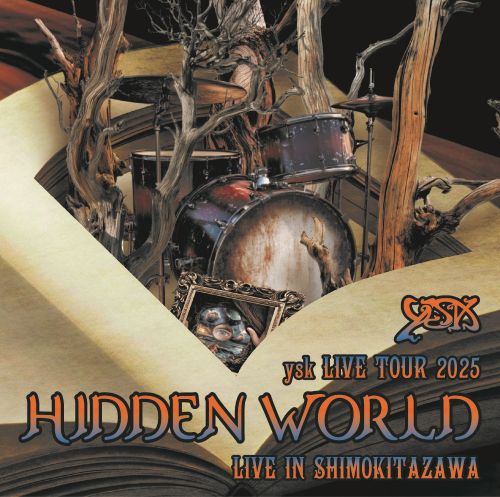 【予約】YUSUKE ANDO率いるYSK、2025年07月4日東京下北沢公演を収録したライヴ盤発売! メーカー特典DVD-R ｜ニュース ...
