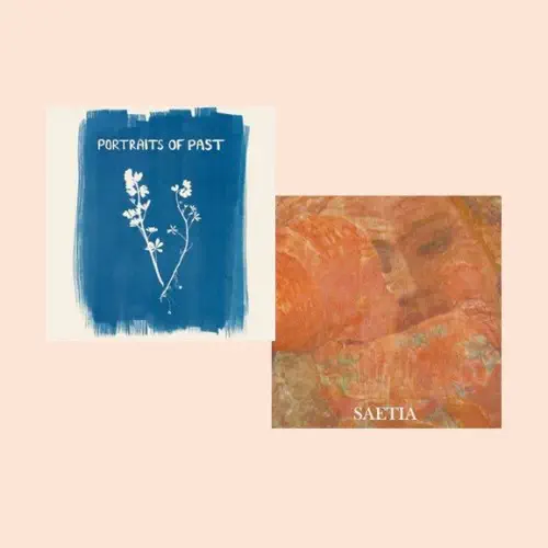 SPLIT (7")/PORTRAITS OF PAST : SAETIA｜PUNK｜ディスクユニオン･オンラインショップ｜diskunion.net