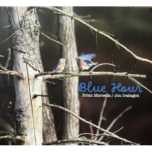 Blue Hour/BRIAN MARSELLA & JON IRABAGON/米国のサックス奏者、ジョン・イラバゴンとのデュオ・アルバム ...