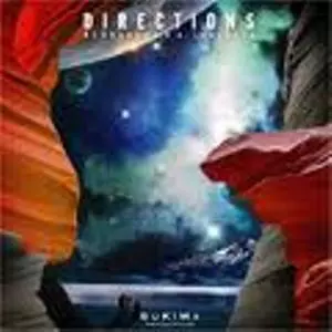 DIRECTIONS/DJ SHUNYA｜HIPHOP/R&B｜ディスクユニオン･オンラインショップ｜diskunion.net