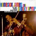 BIG BEAR SESSIONS/HOMESICK JAMES AND SNOOKY PRYOR｜SOUL/BLUES/GOSPEL｜ディスクユニオン･オンラインショップ｜diskunion.net