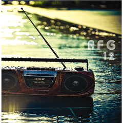 RARE FUNKY GROOVE VOL.12/V.A. (RARE FUNKY GROOVE)｜SOUL/BLUES/GOSPEL ...