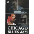 CHICAGO BLUES JAM/JAMES HARMAN + HOWARD & THE WHITE BOYS｜SOUL/BLUES ...
