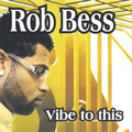 VIBE TO THIS/ROB BESS｜SOUL/BLUES/GOSPEL｜ディスクユニオン･オンラインショップ｜diskunion.net