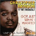 GOT JUST WHAT I WANTED/CHRISTOPHER BRINSON｜SOUL/BLUES/GOSPEL｜ディスクユニオン ...
