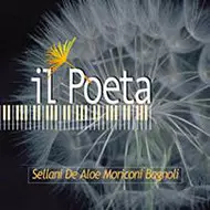 RENATO SELLANI/MAX DE ALOE/MASSIMO MORICONI/STEFANO BAGNOLI商品一覧｜ディスク ...