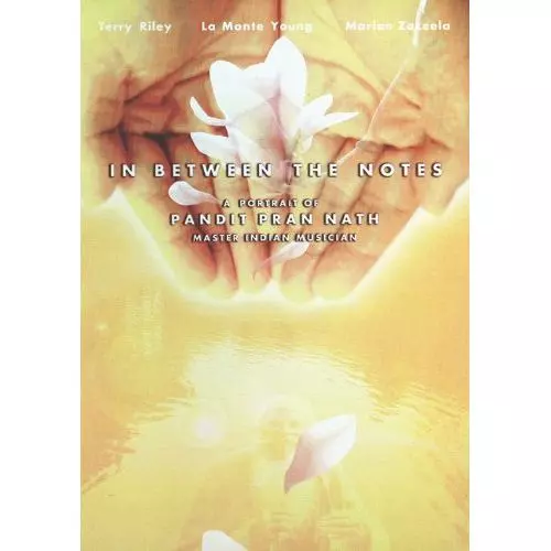IN BETWEEN THE NOTES/PANDIT PRAN NATH｜NOISE / AVANT-GARDE｜ディスクユニオン ...