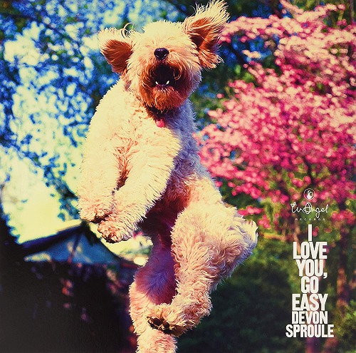 I LOVE YOU, GO EASY (LP)/DEVON SPROULE｜ROCK / POPS / INDIE｜ディスクユニオン ...