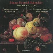 SCHMELZER:SONATA2/3/5/ENRICO GATTI/エンリコ・ガッティ｜CLASSIC｜ディスクユニオン･オンラインショップ｜diskunion.net