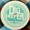 Shining/DANNY HOWELLS｜CLUB/DANCE｜ディスクユニオン･オンラインショップ｜diskunion.net