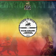 Promised Land/REBEL MC & SERIAL KILLAZ ｜CLUB/DANCE｜ディスクユニオン･オンラインショップ ...