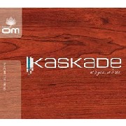 It's You It's Me/KASKADE｜CLUB/DANCE｜ディスクユニオン･オンラインショップ｜diskunion.net
