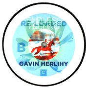 Endless Feeling Remixes/GAVIN HERLIHY｜CLUB/DANCE｜ディスクユニオン･オンラインショップ ...
