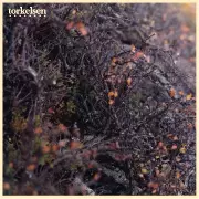 Torkelsen (LP)/TORKELSEN｜CLUB/DANCE｜ディスクユニオン･オンラインショップ｜diskunion.net