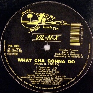 WHAT CHA GONNA DO/VIL-N-X/Nathaniel X Project｜CLUB/DANCE｜ディスクユニオン･オンライン ...
