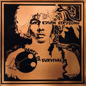 EDWIN BIRDSONG / エドウィン・バードソング商品一覧｜ディスクユニオン･オンラインショップ｜diskunion.net