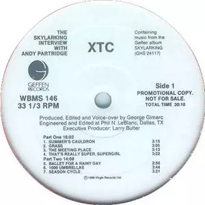 SKYLARKING INTERVIEW WITH ANDY PARTRIDGE/XTC｜ROCK / POPS / INDIE｜ディスク ...