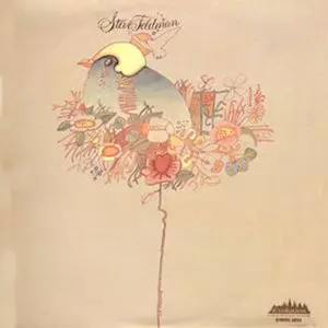 STEVE FELDMAN/STEVE FELDMAN｜OLD ROCK｜ディスクユニオン･オンラインショップ｜diskunion.net