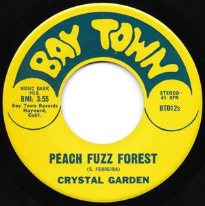 PEACH FUZZ FOREST / FLASH/CRYSTAL GARDEN｜OLD ROCK｜ディスクユニオン･オンラインショップ ...