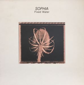 FIXED WATER/SOPHIA (UK)｜ROCK / POPS / INDIE｜ディスクユニオン･オンラインショップ ...