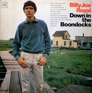 DOWN IN THE BOONDOCKS/BILLY JOE ROYAL/ビリー・ジョー・ロイヤル｜OLD ROCK｜ディスクユニオン ...