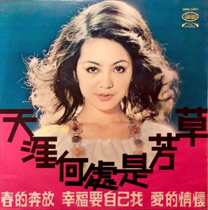 天涯何處是芳草/CUI TING-JING/崔苔菁｜LATIN / BRAZIL｜ディスクユニオン･オンラインショップ｜diskunion.net