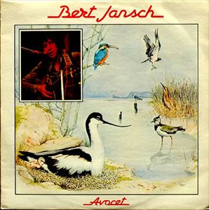 AVOCET/BERT JANSCH/バート・ヤンシュ｜PROGRESSIVE ROCK｜ディスクユニオン･オンラインショップ｜diskunion.net