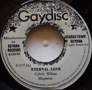ETERNAL LOVE/CALVIN WILSON & THE MAGNETOS｜REGGAE｜ディスクユニオン･オンラインショップ｜diskunion.net