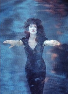 KATE BUSH KATE INSIDE/GUIDO HARARI｜OLD ROCK｜ディスクユニオン･オンラインショップ ...