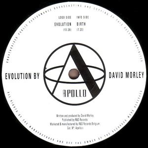 EVOLUTION/DAVID MORLEY｜CLUB/DANCE｜ディスクユニオン･オンラインショップ｜diskunion.net