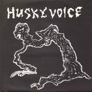 HUSKY VOICE/HUSKY VOICE｜PUNK｜ディスクユニオン･オンラインショップ｜diskunion.net