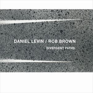 DIVERGENT PATHS/DANIEL LEVIN / ROB BROWN｜JAZZ｜ディスクユニオン･オンラインショップ ...