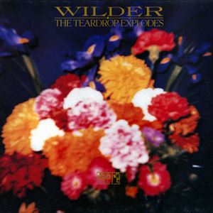WILDER/TEARDROP EXPLODES/ティアドロップ・エクスプローズ ｜ROCK / POPS / INDIE｜ディスクユニオン ...
