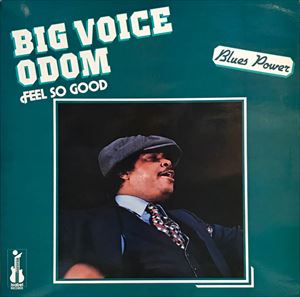 FEEL SO GOOD/ANDREW ODOM｜SOUL/BLUES/GOSPEL｜ディスクユニオン･オンラインショップ｜diskunion.net