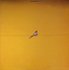 AARON LIGHTMAN/AARON LIGHTMAN/アーロン・ライトマン｜OLD ROCK｜ディスクユニオン･オンラインショップ ...