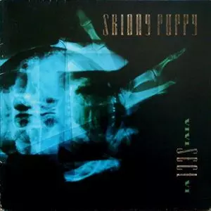 VIVI SECT VI/SKINNY PUPPY｜ROCK / POPS / INDIE｜ディスクユニオン･オンラインショップ ...