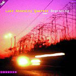 BEGINNING/LUKE ANNESLEY/ルークアネスリー｜JAZZ｜ディスクユニオン･オンラインショップ｜diskunion.net