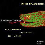 THE SMILE OF THE SNAKE/JAMES SPAULDING/ジェームズ・スポルディング｜JAZZ｜ディスクユニオン ...