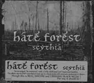 SCYTHIA/HATE FOREST｜HARDROCK & HEAVYMETAL｜ディスクユニオン･オンラインショップ｜diskunion.net