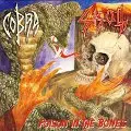 POISON IN THE BONES/SPLIT (COBRA / SKULL)｜HARDROCK & HEAVYMETAL｜ディスク ...