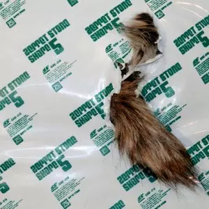 SHAPE 5 /ZEPPET STORE/ゼペット・ストア｜平成J-POP｜ディスクユニオン･オンラインショップ｜diskunion.net