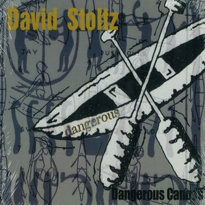Dangerous Canoes/DAVID STOLTZ｜JAZZ｜ディスクユニオン･オンラインショップ｜diskunion.net
