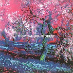 TROPICAL BRAINFOREST/PERCEWOOD'S ONAGRAM｜PROGRESSIVE ROCK｜ディスクユニオン･オンラインショップ｜diskunion.net