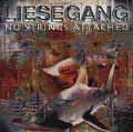 NO STRINGS ATTACHED/LIESEGANG｜PROGRESSIVE ROCK｜ディスクユニオン･オンラインショップ ...