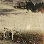 COMA GHOSTS/EFFLORESCE｜PROGRESSIVE ROCK｜ディスクユニオン･オンラインショップ｜diskunion.net