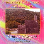 AMBIENT COLLECTION: VOLUME TWO/ADRIAN WAGNER｜PROGRESSIVE ROCK｜ディスクユニオン ...