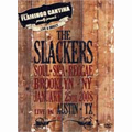 LIVE AND DIRECT FROM THE FLAMINGO CANTINA (DVD)/SLACKERS/スラッカーズ｜PUNK ...